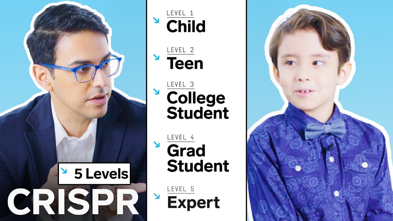 機械学習：複雑さの5つのレベルを理解する - TechWireHQ